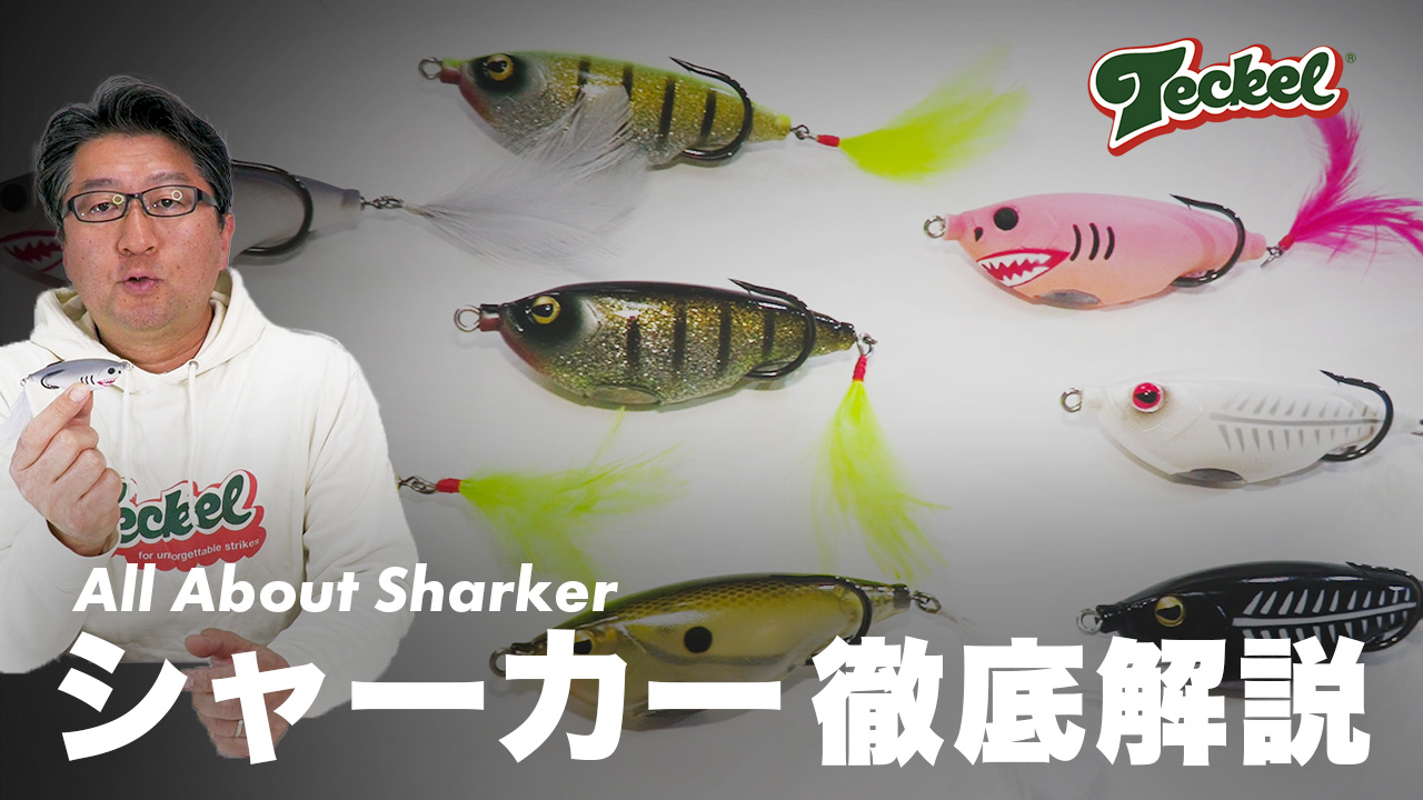 Teckel様 「What is Sharker?」動画編集 - 「Studio CONNECT」